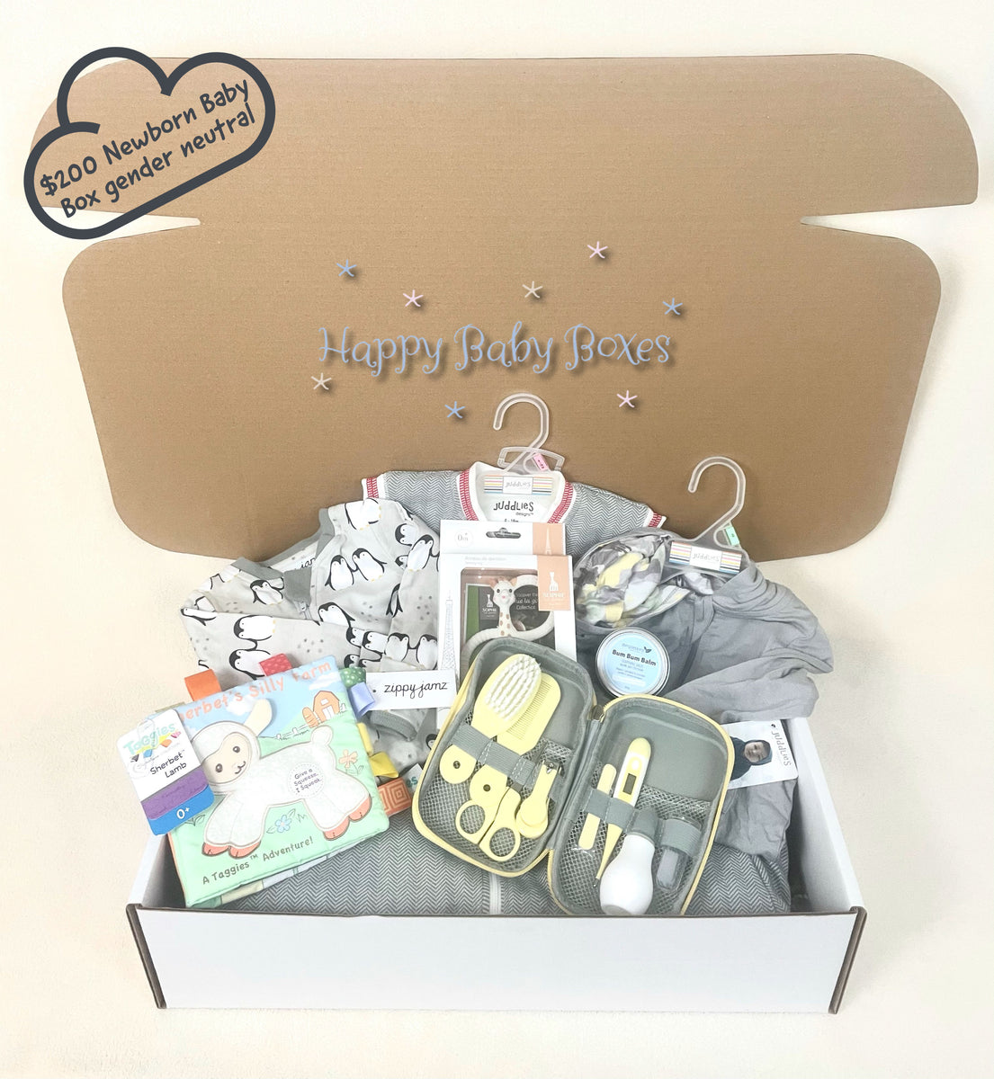 $200 Newborn Baby Box – Happy Baby Boxes